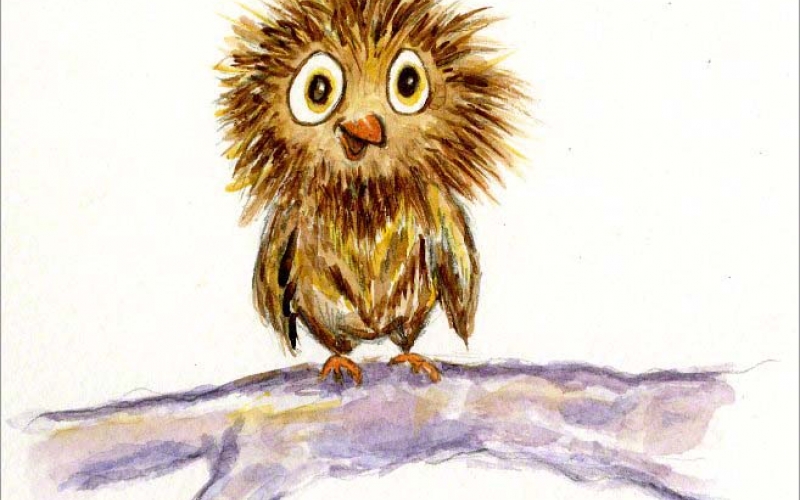 Welcome to Collins Artworks